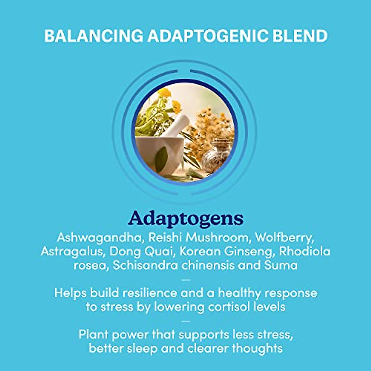 Swanson WIO™ Mental Balance with Herbs™ for Stress Support, Better Sleep, Ayurvedic, Focus, More Energy, Adaptogen, Ashwagandha, Ginseng, Mental Wellness, 30 Capsules (30-Day Supply)