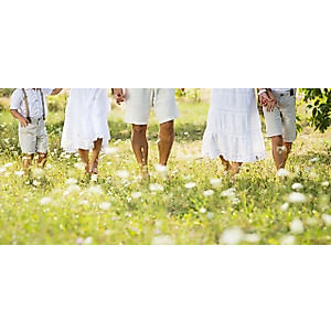 Kefir Starter Cultures - Pack of Freeze-Dried Culture Sachets For Creamy and Mild Milk Kefir (3 sachets)