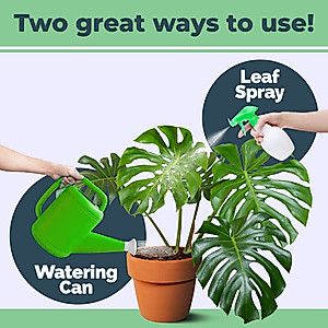 Monstera Plant Food for Monsteras and Philodendrons, Tropical Houseplant Liquid Fertilizer 8 oz (250mL)