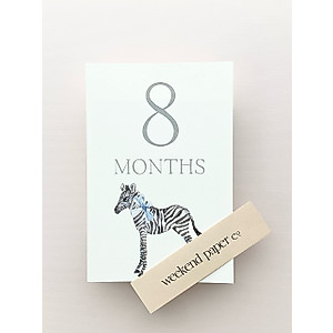 Weekend Paper Co.™ Baby Animals Milestone Cards, baby monthly marker for an expecting mother or new mother, baby gifts or shower registry.