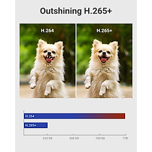 ANNKE 8CH H.265+ 3K Lite Surveillance Security Camera System with AI Human/Vehicle Detection, 4 x 1920TVL 2MP Wired CCTV IP66 Cameras for Indoor Outdoor Use, Remote Access, 1TB Hard Drive Included