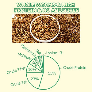 RANZ 2LBS Non-GMO Dried Mealworms for Chickens, High Protein Meal Worms, Premium Chicken Feed, Whole Large Mealworms for Wild Birds, Ducks, Fish
