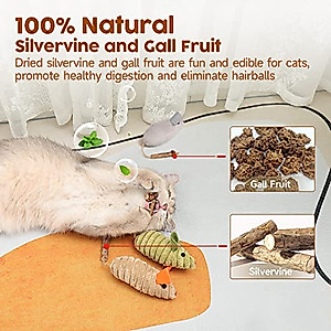 Potaroma 3Pcs Catnip Toys, Interactive Silvervine Cat Mice & Animals Toys for Indoor Cats and Kittens, Dental Cat Nip Plush Toy, Matatabi Silvervine Cat Chew Toy for Exercise