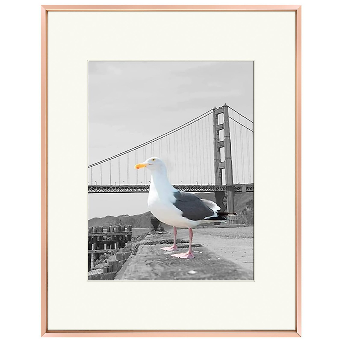 Frametory, 16x20 Metal Picture Frame with Mat for 11x14 Picture & Real Glass, Aluminum Photo Frame Collection (Rose Gold, 1 Pack)