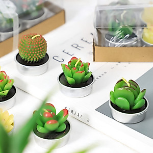 SCENTORINI Tealight Candles, 12 Pack Cactus Candles, Cute Tealight Candles for Christmas Decorations, Mini Delicate Candles, Unscented Candles Gift for Birthday Party Wedding Home Decor