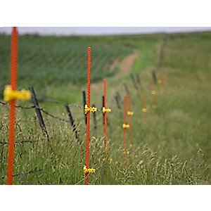 Five-Pack EZ Step-in Posts | Midnight Black or Safety Orange | EZ Step Products (Safety Orange)
