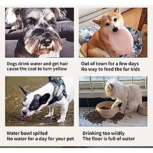 Pet Standing Water Dispenser Bowl- Multifunctional Automatic No Drip Water Bottle 24oz Food Feeder with Adjustable Height for Cats Dogs (Whole Set)