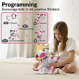 STEMTRON Programmable Remote Control Robot Cat Robot Dog for Kids, Interactive Robotic Dog Robotic Cat, Robo Dog Robo Cat, RC Robot with Touch Sensing, LED Eyes, Dance & Music