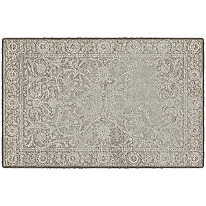 Brumlow MILLS Georgiana Traditional Distressed Floral Print Pattern Home Indoor Area Rug for Living Room Decor, Dining, Kitchen Rug, or Bedroom Mat, 30" x 46", Neutral