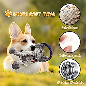 havidodo Squeaky Dog Toys, 3 Pack Puppy Toys, Durable Dog Toys for Small Medium Dogs Breed, Plush Dog Toys Bulk Set, Stuffed Dog Toys Pack with Rope, Tough Puppy Chew Toys for Teething