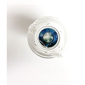 Spa & Sauna Parts Garden Hose End Water Filter All Purpose, Pool, spa, hot tub, Pets, car wash