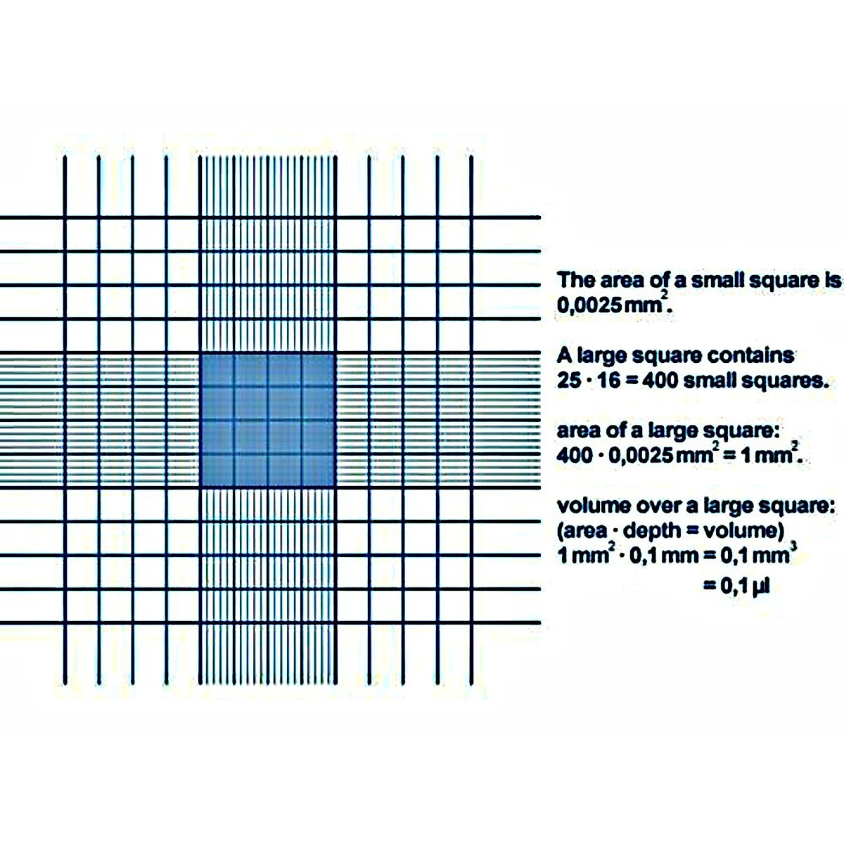 EFK-II Supply Improved Neubauer Hemocytometer Blood Count with Double Chamber Plus 2 Coverslips