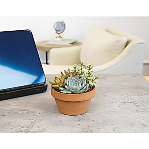 Live Succulents Assortment in Clay Pot, Garden Succulent Planter, Unique Gardening Gifts for Plant Lovers, Live Succulent Plants Live Plants, Live Succulents Plants Live Houseplants by Plants for Pets