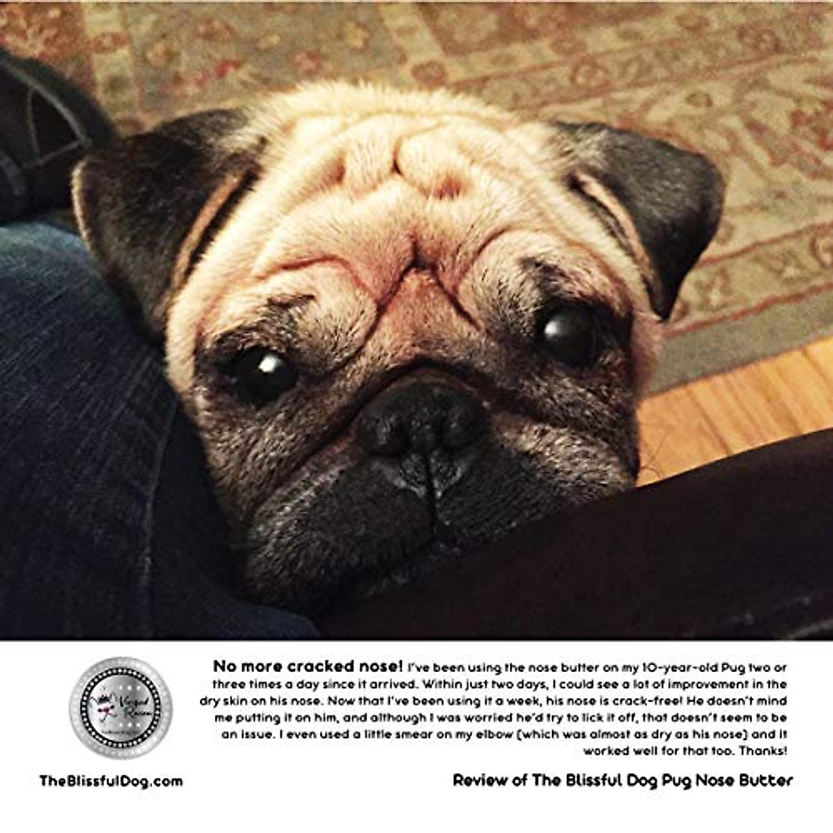 The Blissful Dog Fawn Pug Nose Butter – Dog Nose Butter, 4 Ounce