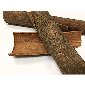 Cinnamon Bark | Cinnamomum| Rou Gui Pi | 肉桂皮