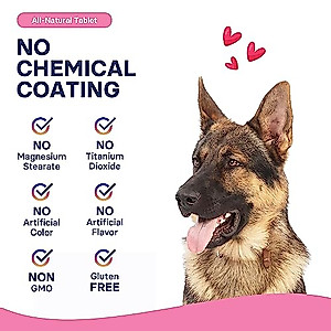 SilymarinAdvanced Liver Health Supplement for Large Dogs Combining S-Adenosylmethionine (Same) and Silybin, Liver Tablets, Cognitive Support, Pet Essentials & Wellbeing, 30 Tablets