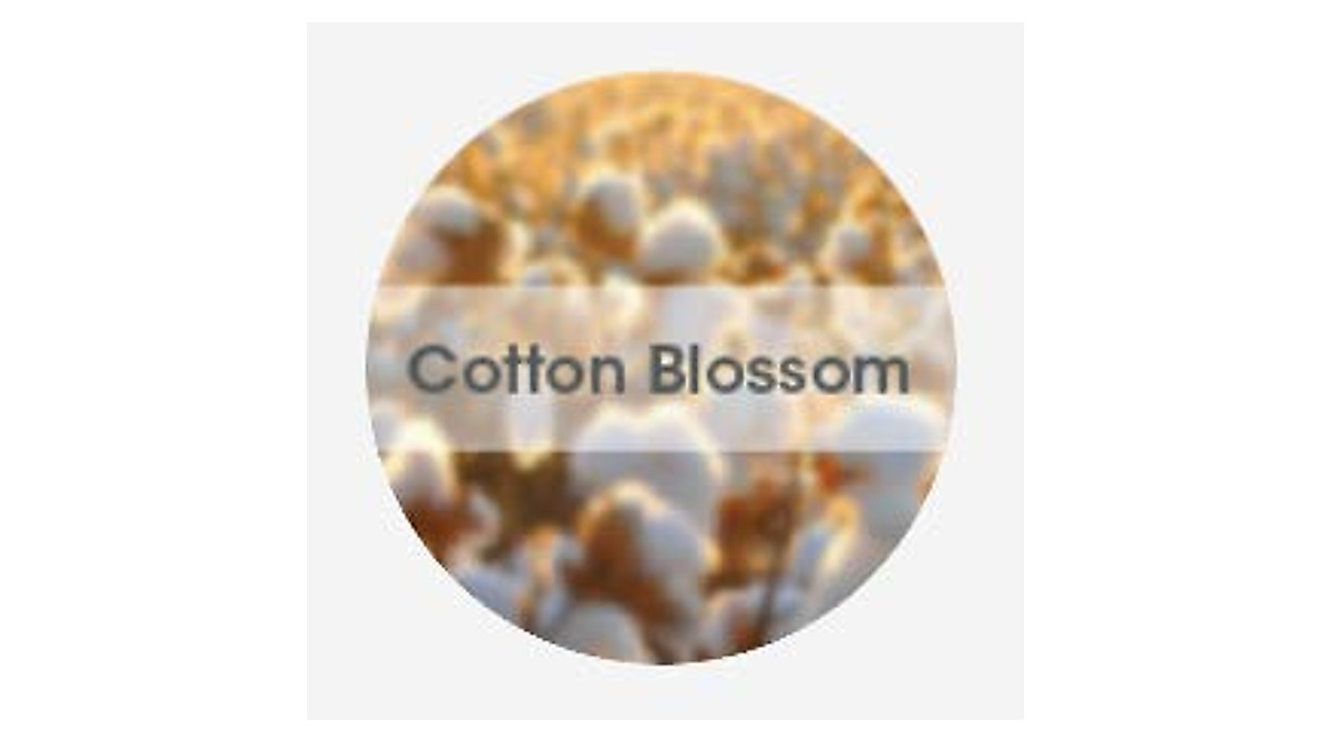 NASSCO Wave 3D Urinal Screens - Cotton Blossom (10/Box)