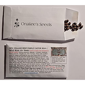 Onalee's Seeds Castor Bean -Deep Purple- New Zealand Purple, Tropical Look, Fast Growing - Ricinus Communis, (16+ Seeds) Grown in and Shipped from USA!