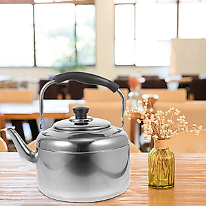 Lurrose Small Tea Kettle Boiling Teapot Fast Boiling Water Kettle Glass Camp Kettle Loose Tea Steeper Electric Water Bottle Hot Water Coffee Pot Stainless Steel Teakettle Heating Filter