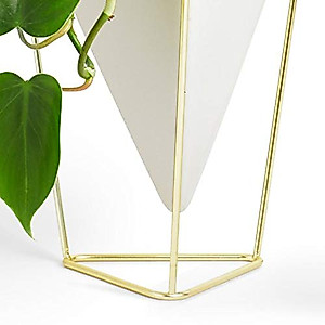 Umbra - 1004372-524 Trigg Desktop Planter Vase & Geometric Container-for Succulent, Air, Mini Cactus, Faux Plants and More, Desk, White/Brass