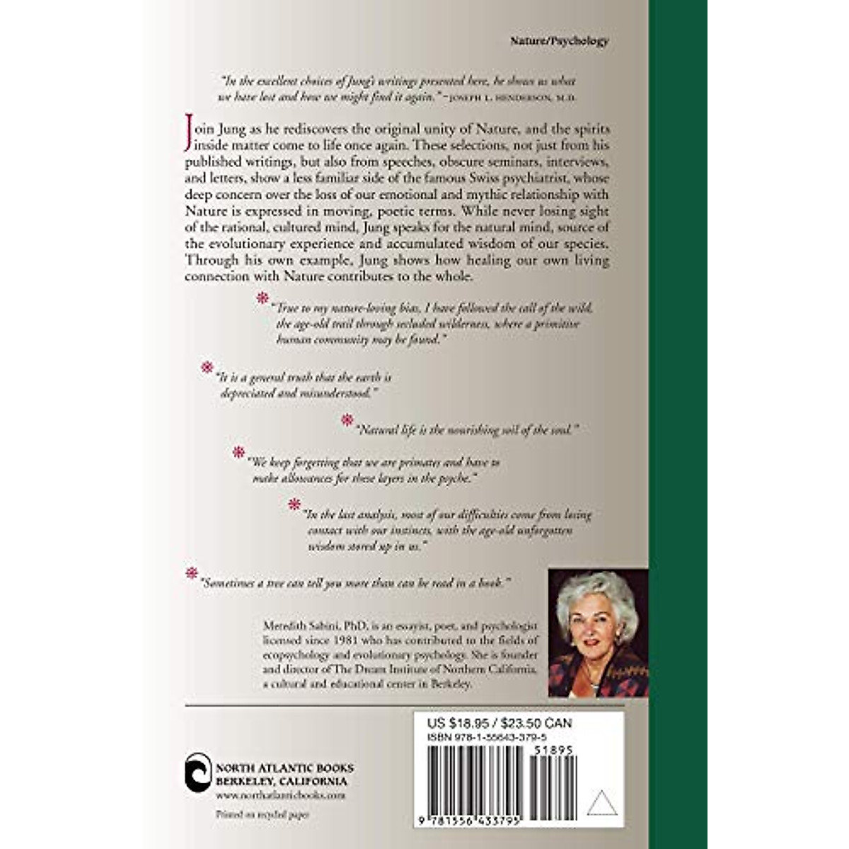 The Earth Has a Soul: C.G. Jung on Nature, Technology & Modern Life