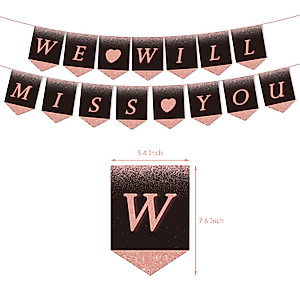 Rose Gold Farewell Party Decorations,We Will Miss You banner,Going away party decorations for Coworkers Goodbye, Rose Gold Hanging Swirls Balloon cupcake topper Decor Retired Party Supplies