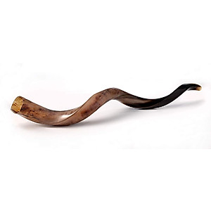 Sale 36" Extra Large Yemenite Kudu Horn Polished Shofar Shofars with Free Anti Odor Spray,Guide From Israel