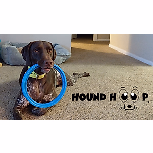 Hound Hoop - Professional Dog Fetch Toy for Medium & Large Breeds - Rolling Fetching Tire & Chase Ring for Outdoor Training & Water Retrieval Play - Helps Improve Agility, Balance, Speed - 10x1.5…