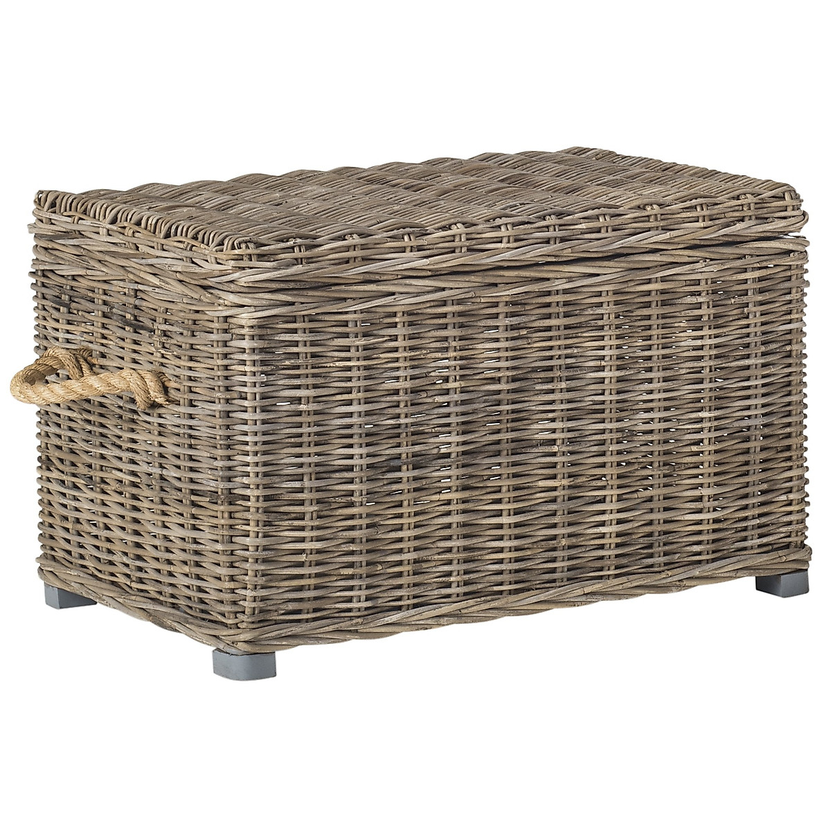 Safavieh Home Collection Salim Grey Rattan Storage Trunk