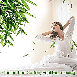 100% Egyptian Cotton Wine Stripe, Grand King Size Egyptian Cotton Sheet Set -(4 Pcs) Deep Pockets 30" Inches for Thick Mattress-850 TC Breathable-Super Soft-(Grand King: 80" X 99")