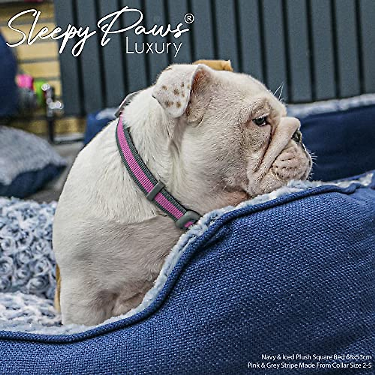 Sleepy Paws Ancol Square Bed for Dogs Navy and Iced Plush 70 x 60cm,Blue