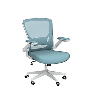 KERDOM Ergonomic Mesh Office Chair with Lumbar Support, Flip-up Arms & Swivel Feature - Adjustable Height Home/Gaming Chair (LightBlue)