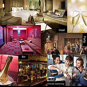 GYLbox Ice Buckets for Parties/Ice Bucket Gold Double -Walled Stainless Steel - for Bar,Wine,Kitchen,Home, Coolers,Drinks,Gold