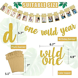 Wild One Birthday Decorations - Gold Glitter One Wild Year Banner + Baby 1st Birthday Photo Banner From Newborn to 12 Month - Safari, Jungle & Wild One Birthday Decorations