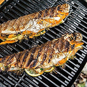 soldbbq 7583 Cast Iron Cooking Grates Replacement Parts for Weber Q200 Q220 396000 396001 566001 566002 566014 Char Q, Part Number 41878 WEB41878