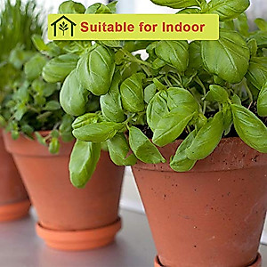 vensovo 4 Inch Terracotta Plant Pots with Saucer - 6 Pack Clay Flower Pots with Drainage, Great for Plants, Crafts, Wedding Favor