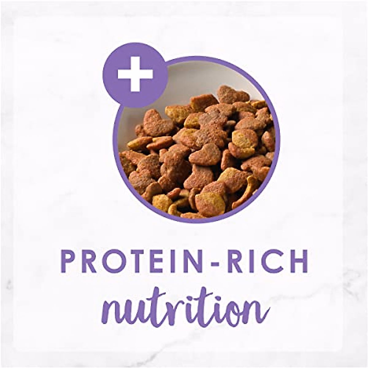 Fancy Feast Gourmet Savory Chicken & Turkey Dry Cat Food (2-Bags) (16 OZ Each)