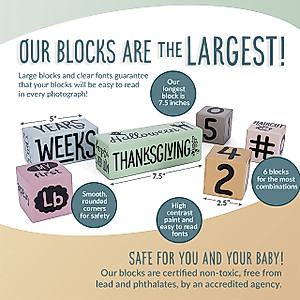 Dog & Fiddle Baby Milestone Blocks & Baby Shower Gifts. Baby Girl Baby Month Milestone Baby Girl Shower Gift Milestone Blocks for Baby boy Baby Age Milestone Blocks Baby Months Photo Prop