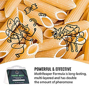 Premium Pantry Moth Traps, Insecticide-Free Moth Pheromone Traps, Glue Trap for Flour, Meal, and Seed Moths, Cupboard Moth Traps, Effective Pest and Moth Lure and Traps (20-Pack) (Dark, 20-Pack)