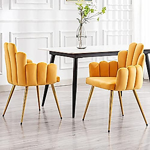 HNY Velvet Accent Chair Set of 4, Finger Shape Upholstered Arm Chair, Mid Century Modern Living Room Dining Makeup Vanity Chairs, with Gold Metal Legs, Yellow