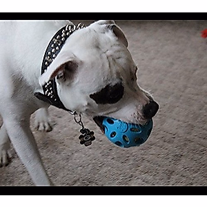 PETMATE DOSKOCIL CO INC Crackle Head Ball MD