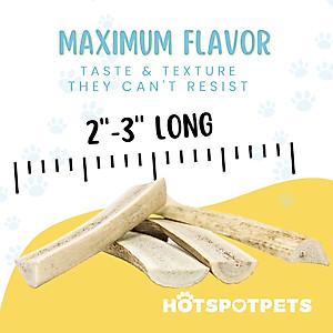 Small Premium Split Elk Antlers for Dogs - 4''-5'' Inch Long Dog Chews (3 Pack) Naturally Shed Antler Bone for Small Breed Aggressive Chewers - Made In USA - Promotes Dental Hygiene (3 Pack)