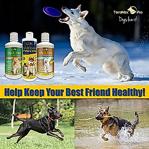 TerraMax Pro Liquid Omega-3 Fish Oil for Dogs and Cats, 16 Fl. Oz.