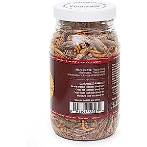 Fluker's Bearded Dragon Medley Treat Food 3.2oz - Includes Attached DBDPet Pro-Tip Guide