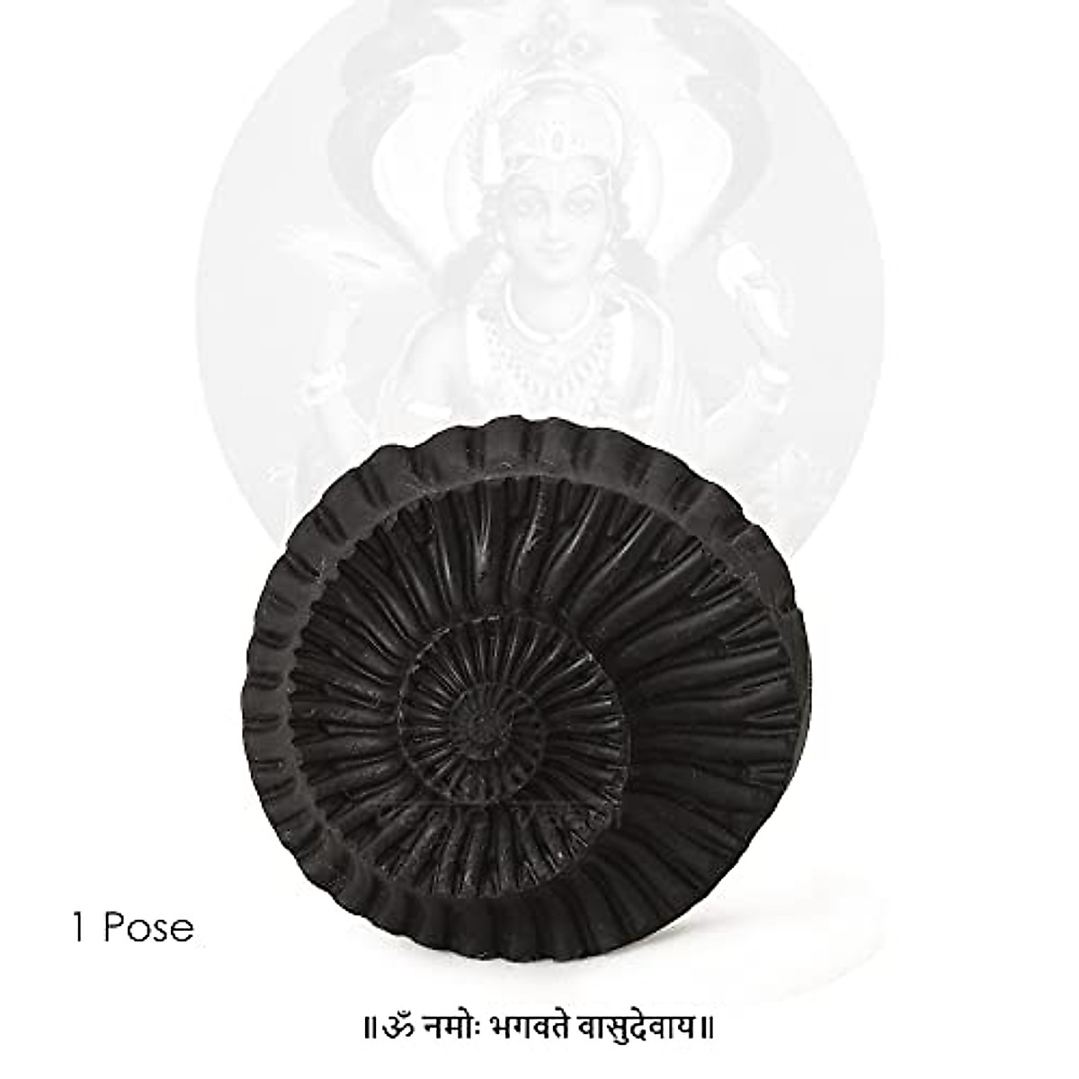 Vedic Vaani Siddh Vishnu Vinayak Divine Sudarshan Shaligram Stone Shila (Pack of 4)