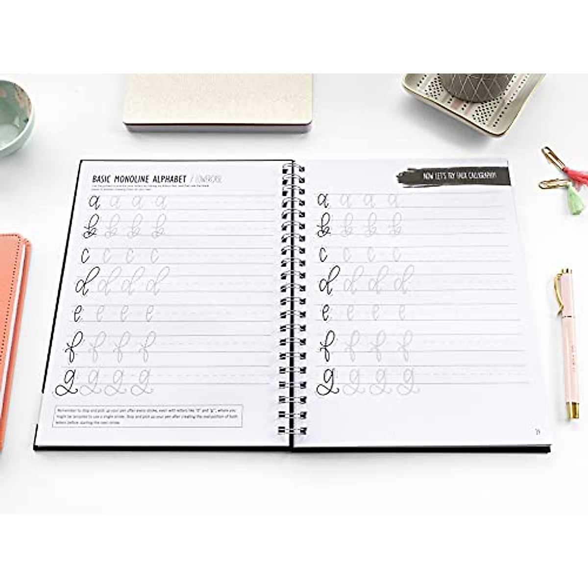 The Ultimate Guide to Modern Calligraphy & Hand Lettering for Beginners