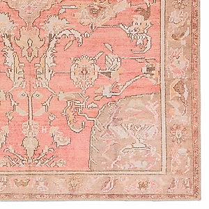 Jaipur Living, Machine Washable 4x6 Area Rug, Boho Pink/Beige Living Room Rug