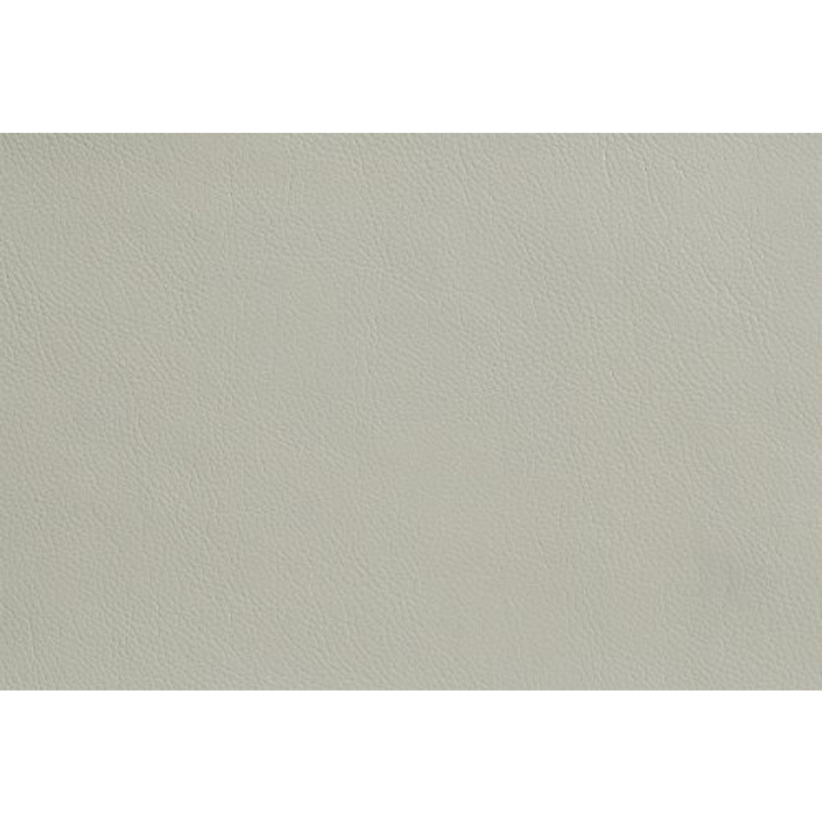 Homelegance Darwan 65" Leather Gel Double Reclining Loveseat, Light Gray