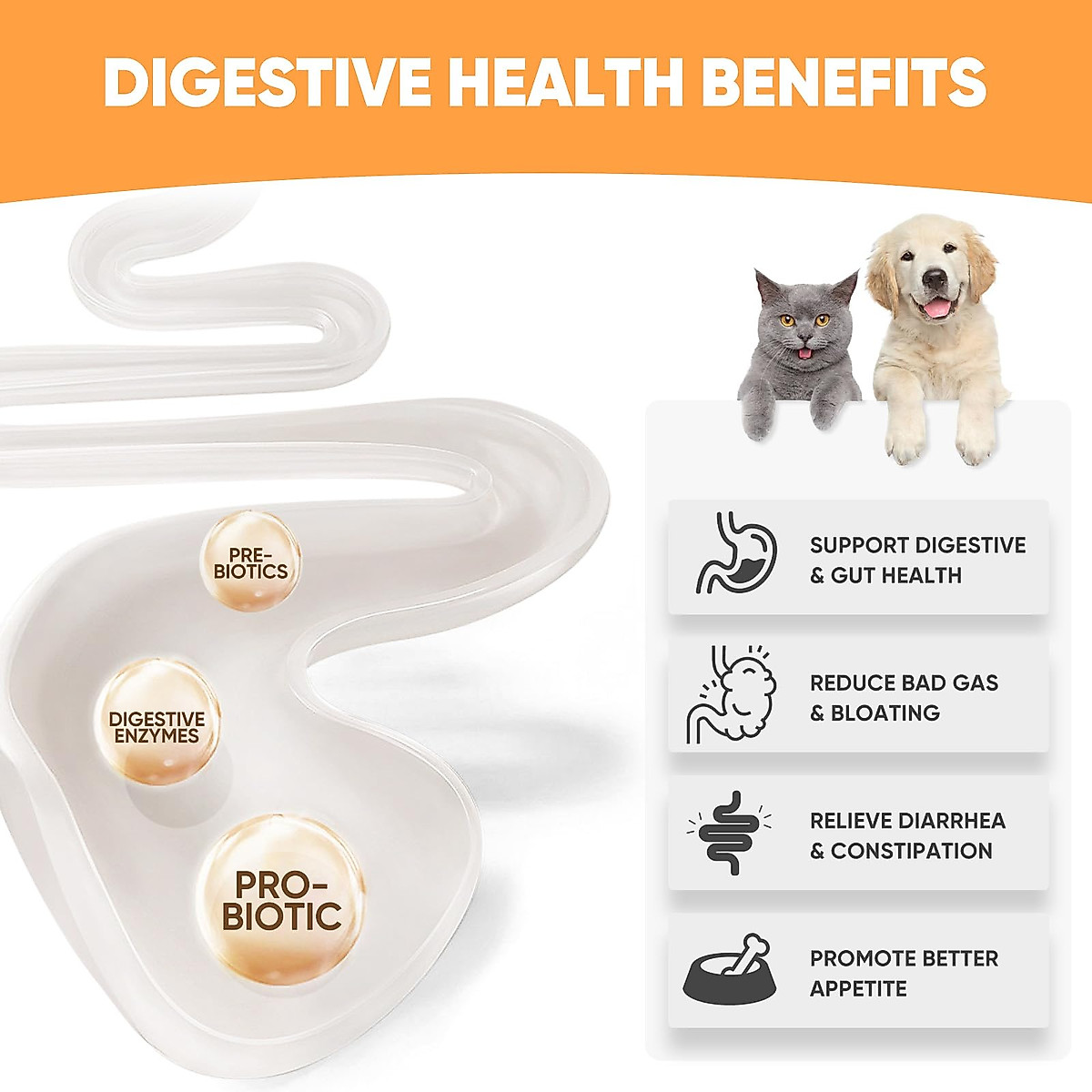 Probiotics for Dogs: Advanced Dog Probiotics & Digestive Enzymes, Digestion & Health Supplement, Support Gut Health, Itchy Skin, Immunity,Yeast Balance, Prebiotics Fiber Supplement Reduce Diarrhea,Gas