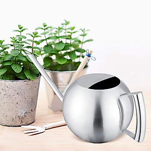 Fdit Long Spout Watering can for Indoor Plants Bonsai (1.0L)